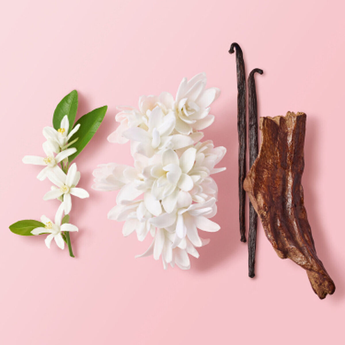 MY WAY EAU DE PARFUM INTENSE | Armani Beauty UAE